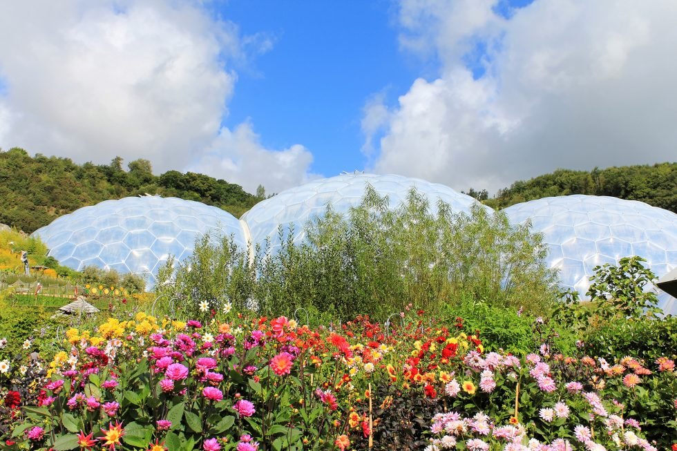 Biodome | Invertebrate Studies Institute
